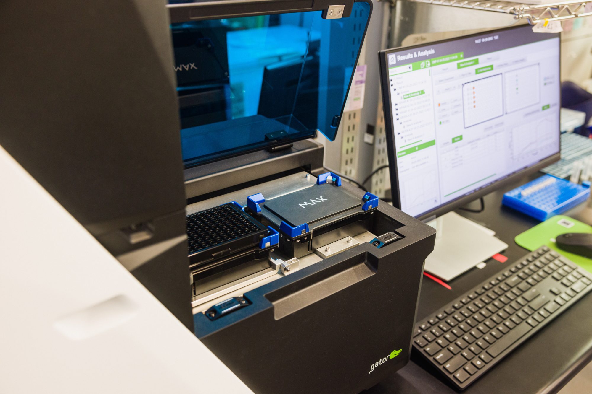 Factor XII - Green Mountain Antibodies